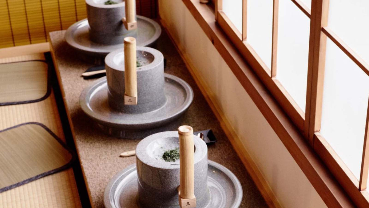 Matcha Production: From Tea Leaf to Premium Matcha | KISSA – KISSA Tea